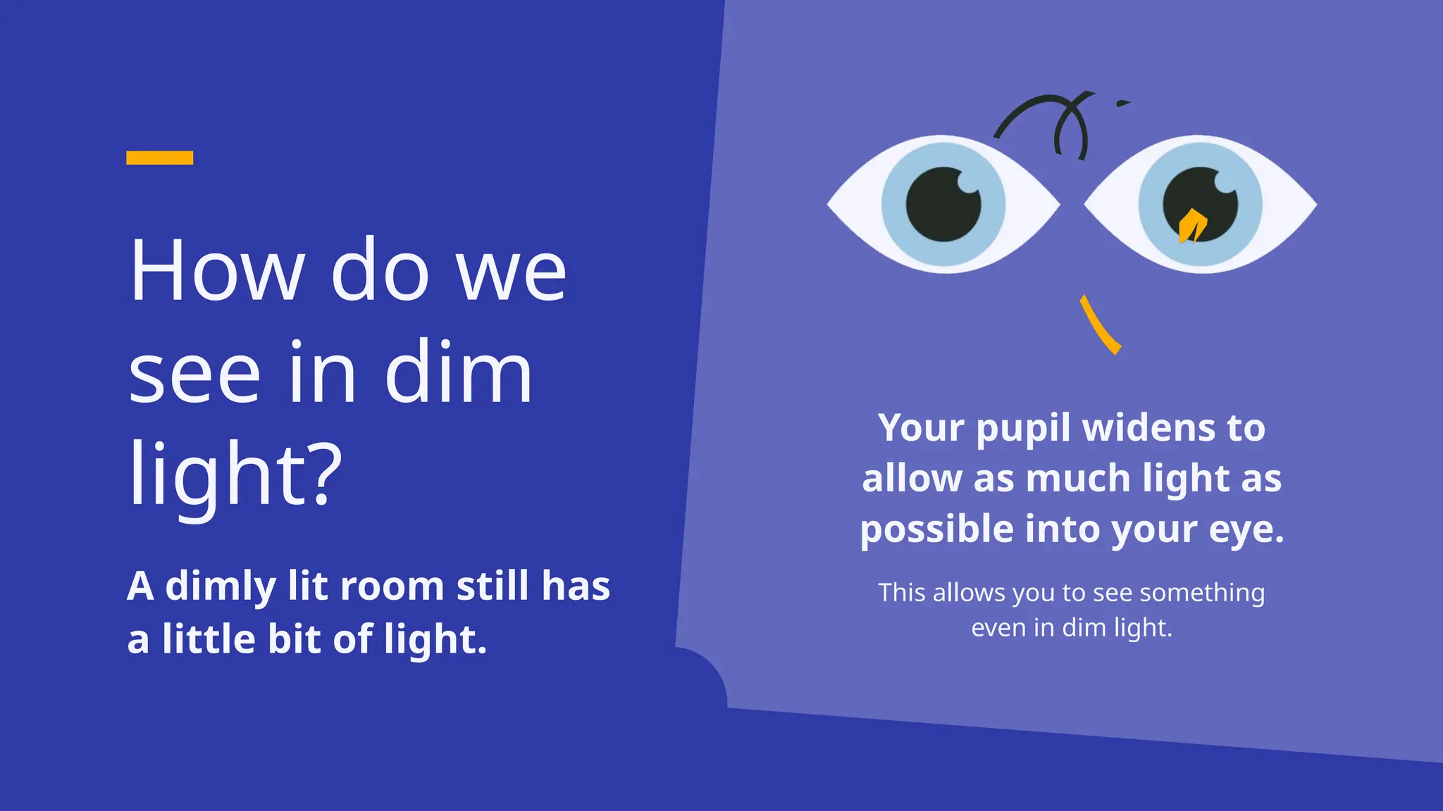 Grade 8 Light and Vision..............pptx