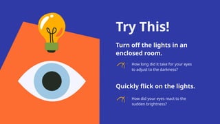 Grade 8 Light and Vision..............pptx