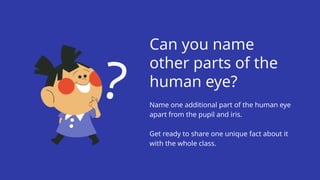 Grade 8 Light and Vision..............pptx