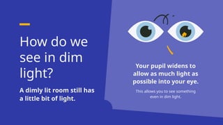 Grade 8 Light and Vision..............pptx