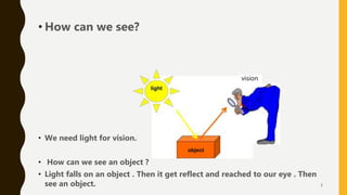 Light and vision | PPTX