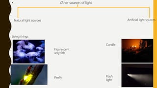 Light and vision | PPTX