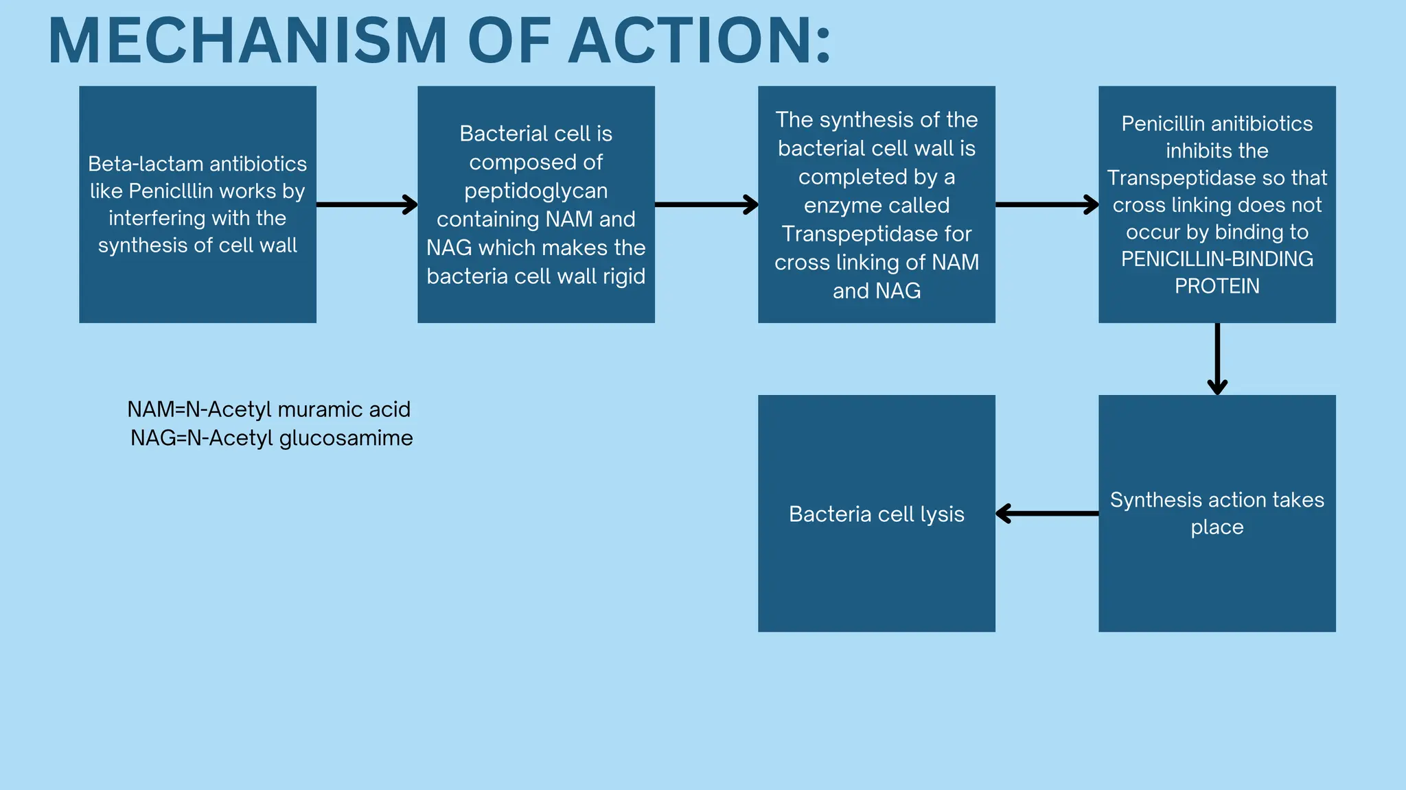 Summary presentation of beta lactam antibiotic penicillin | PDF