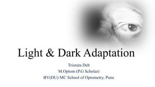 Light and Dark Adaptation | PDF