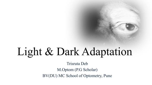 Light and Dark Adaptation | PDF | Eye and Vision Conditions | Diseases ...