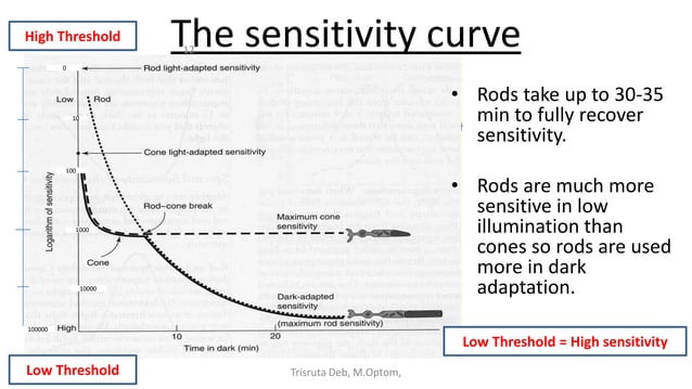 Light and Dark Adaptation | PDF | Eye and Vision Conditions | Diseases ...