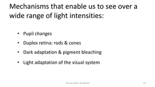 Light and Dark Adaptation | PDF
