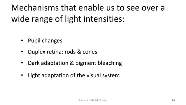 Light and Dark Adaptation | PDF | Eye and Vision Conditions | Diseases ...