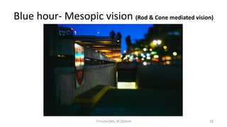 Light and Dark Adaptation | PDF