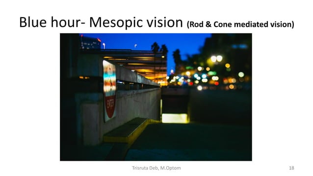 Light and Dark Adaptation | PDF | Eye and Vision Conditions | Diseases ...