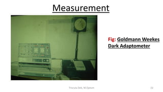 Light and Dark Adaptation | PDF