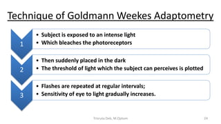 Light and Dark Adaptation | PDF