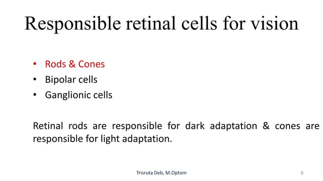 Light and Dark Adaptation | PDF | Eye and Vision Conditions | Diseases ...