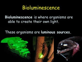 LIGHT ENERGY ppt for jhs grade 7, science grade 7 | PPT