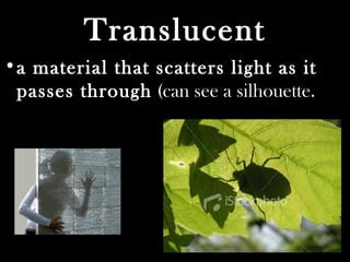 Light Energy Vocabulary | PPT