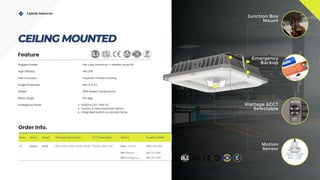 Illuminate Your Outdoor Space with Our Vandal-Proof LED Canopy Lights | PPT