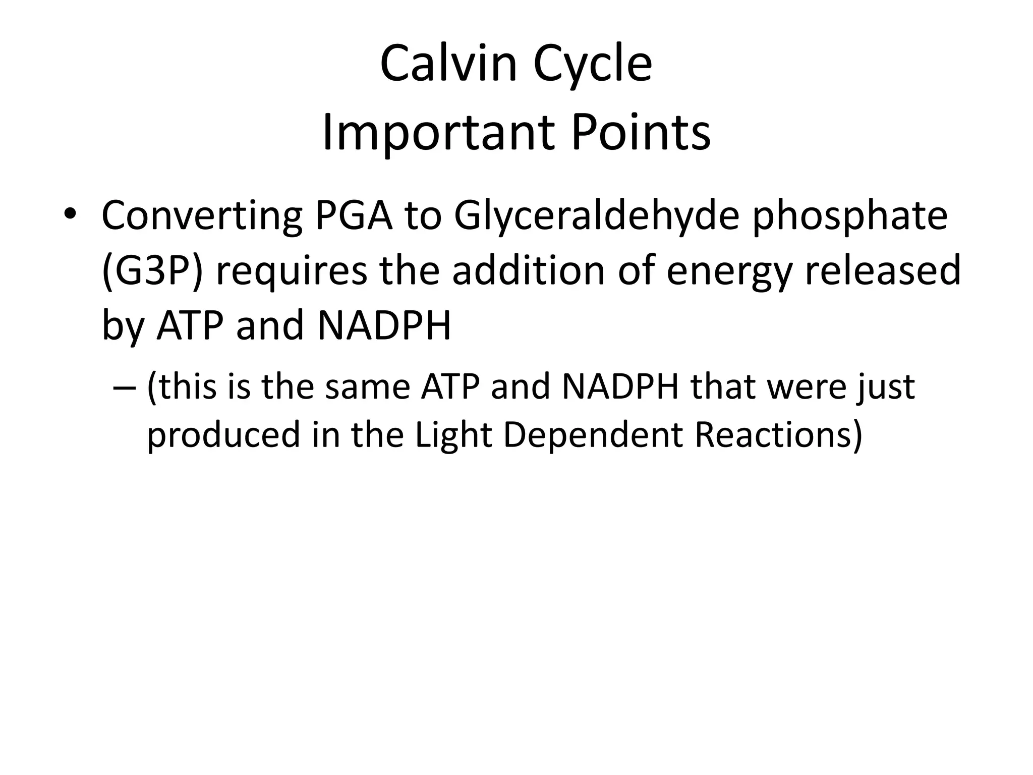 Light independent reactions of photosynthesis | PPTX