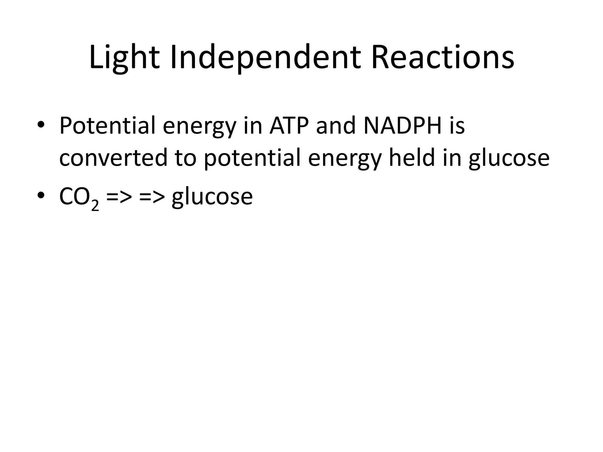 Light independent reactions of photosynthesis | PPTX