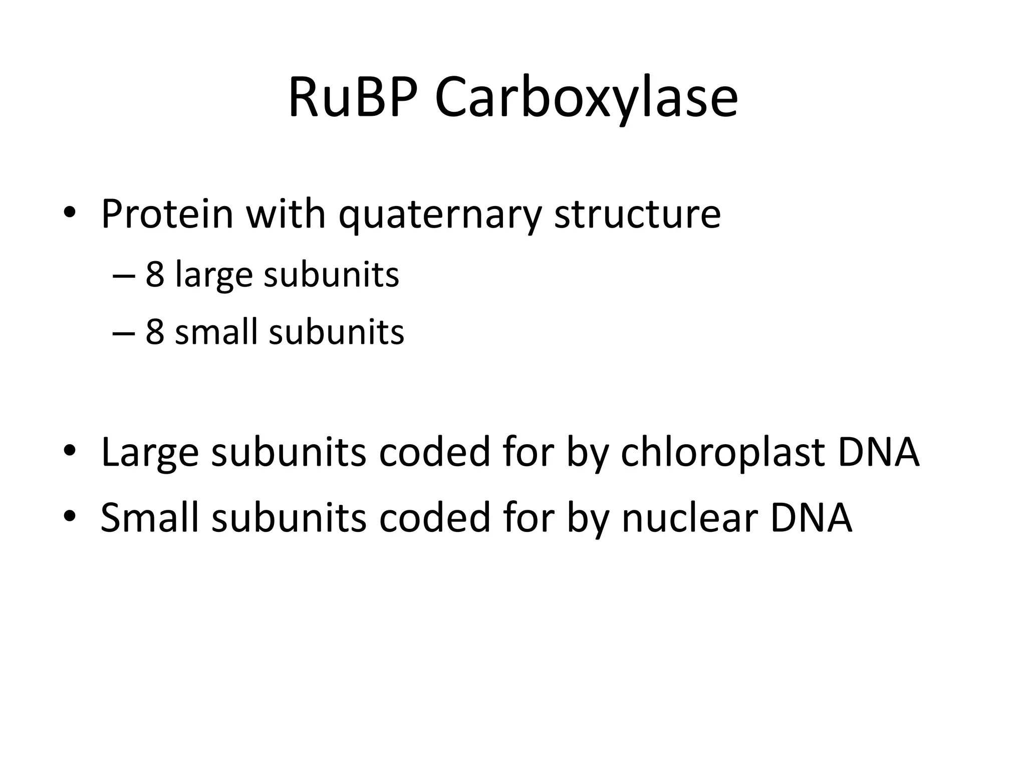 Light independent reactions of photosynthesis | PPTX