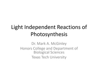 Light Independent Reaction Of Photosynthesis