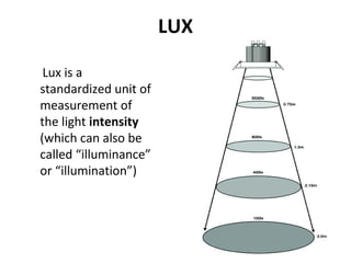 Lighting | PPT