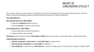 Lighting_Behaviour123_Presentation 3.ppt