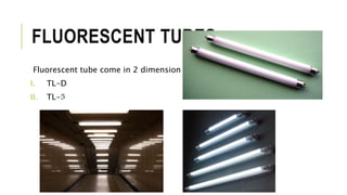 Lighting , case study & specification | PPTX