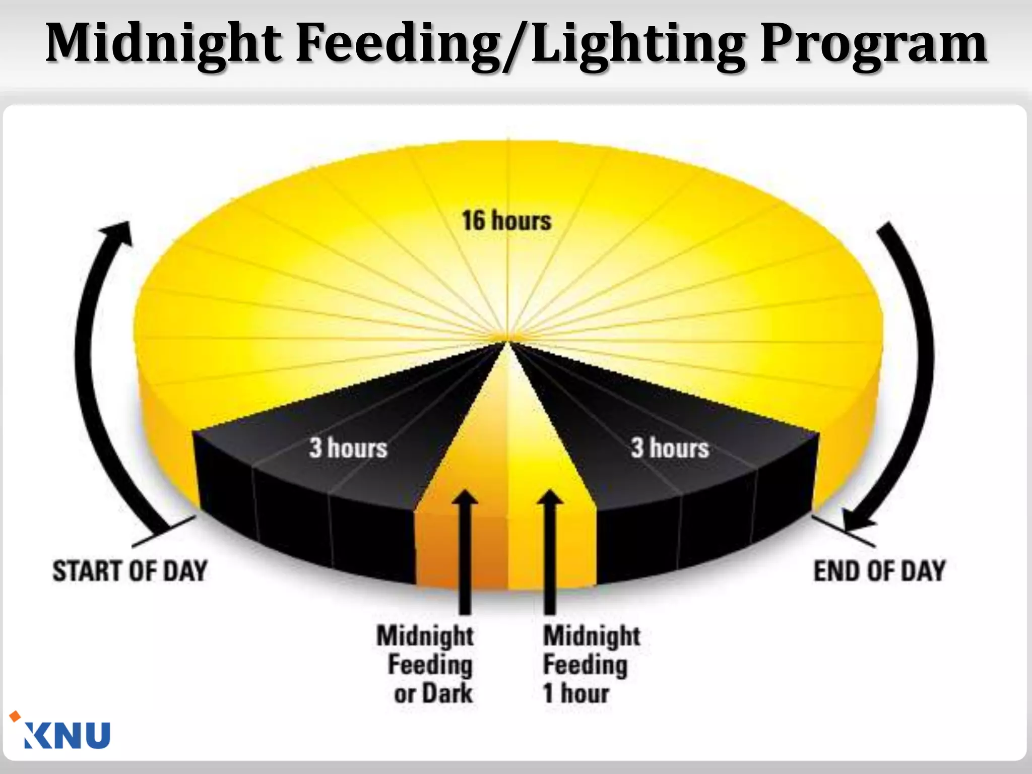 Lighting Management for Poultry | PPTX