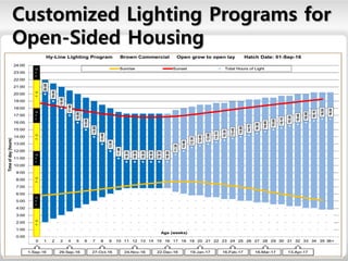 Lighting Management for Poultry | PPTX