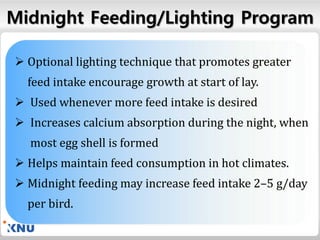 Lighting Management for Poultry | PPTX