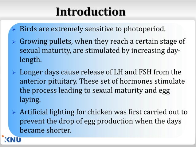 Lighting Management for Poultry | PPTX