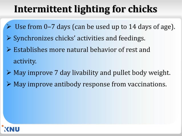 Lighting Management for Poultry | PPTX