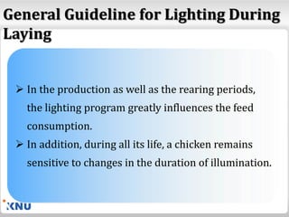 Lighting Management for Poultry | PPTX