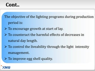 lightingmanagement-160626053950 (1).pdf