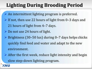 lightingmanagement-160626053950 (1).pdf
