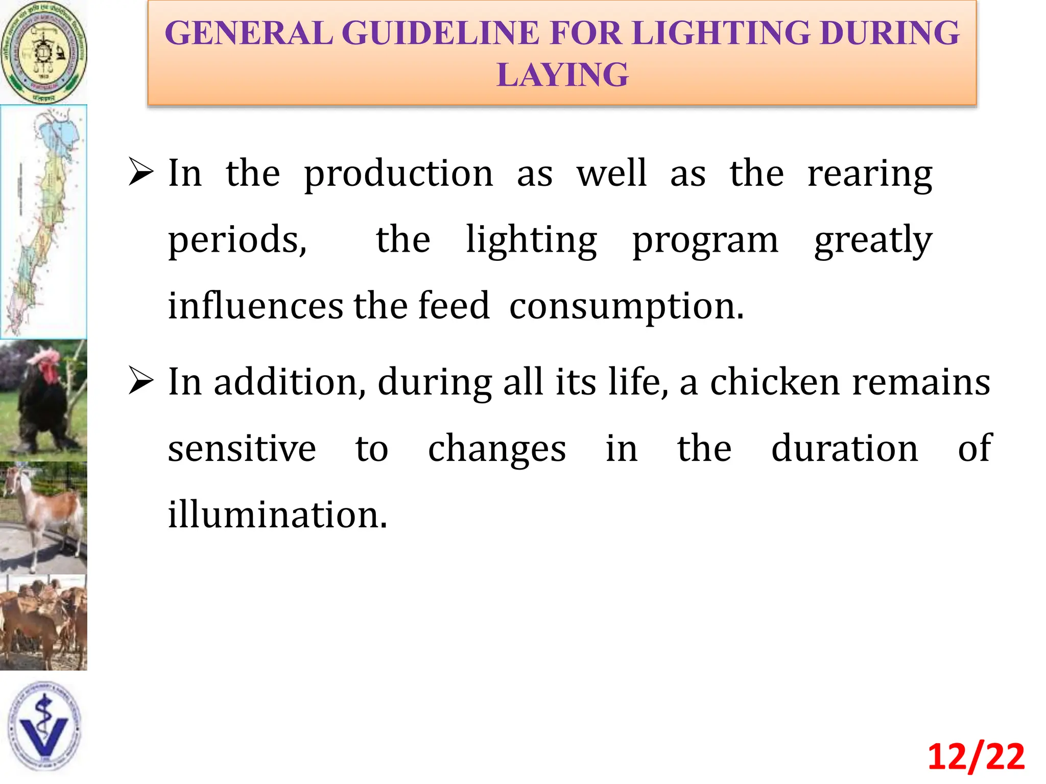 Lighting management in poultry farm.pptx