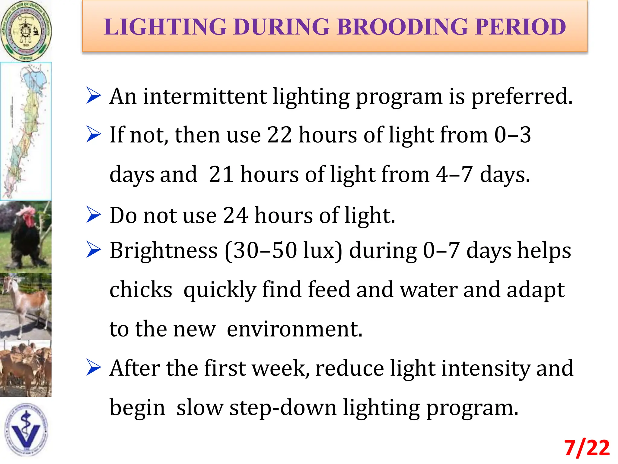 Lighting management in poultry farm.pptx