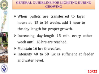 Lighting management in poultry farm.pptx
