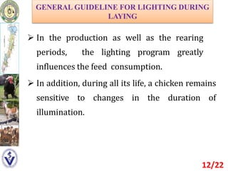 Lighting management in poultry farm.pptx