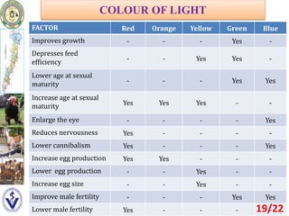 Lighting management in poultry farm.pptx