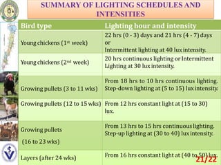 Lighting management in poultry farm.pptx