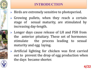 Lighting management in poultry farm.pptx