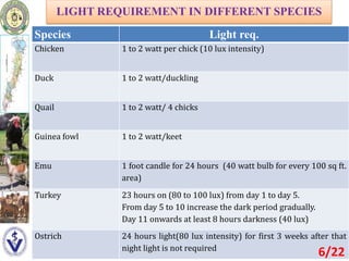 Lighting management in poultry farm.pptx