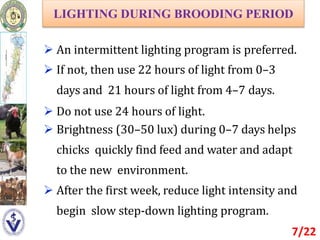 Lighting management in poultry farm.pptx