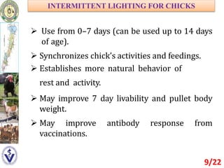 Lighting management in poultry farm.pptx