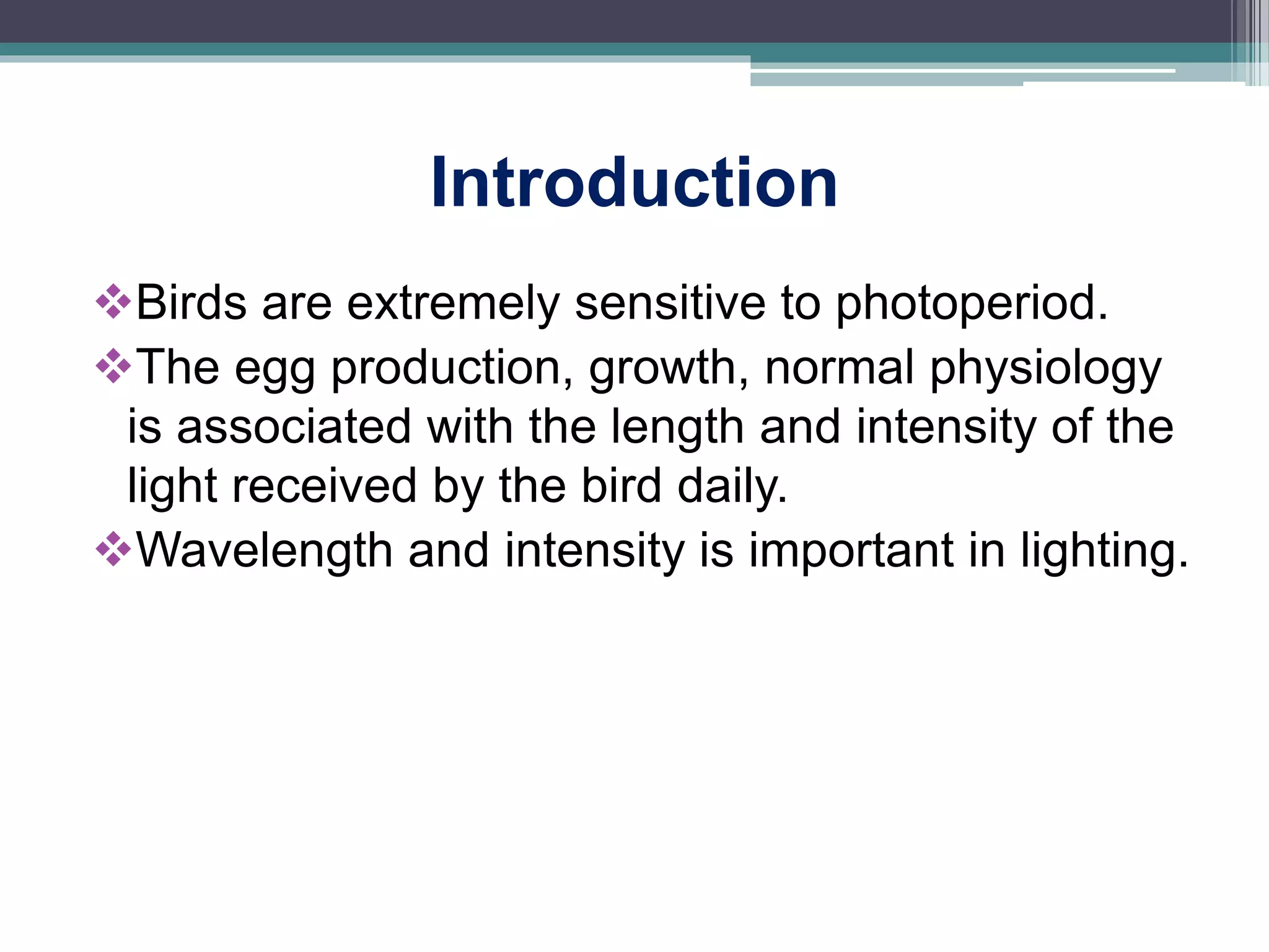 Lighting Management for Poultry upload.pptx