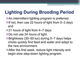 Lighting Management for Poultry upload.pptx
