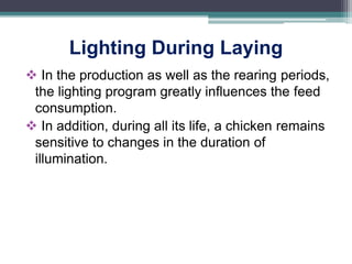 Lighting Management for Poultry upload.pptx