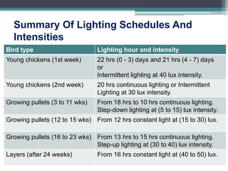 Lighting Management for Poultry upload.pptx | Endocrine and Metabolic ...