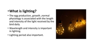 Lighting management in layers | PPTX